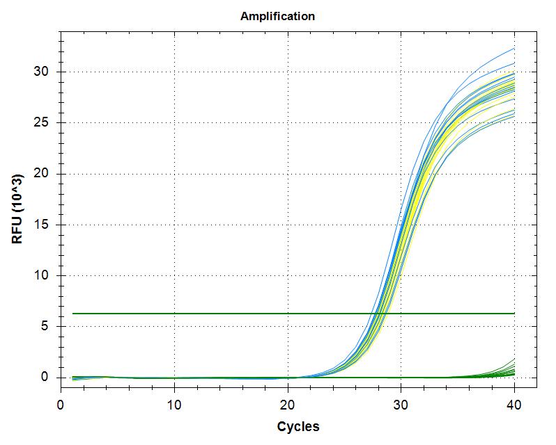 fastGEN Lung Cancer Kit | BioVendor R&D